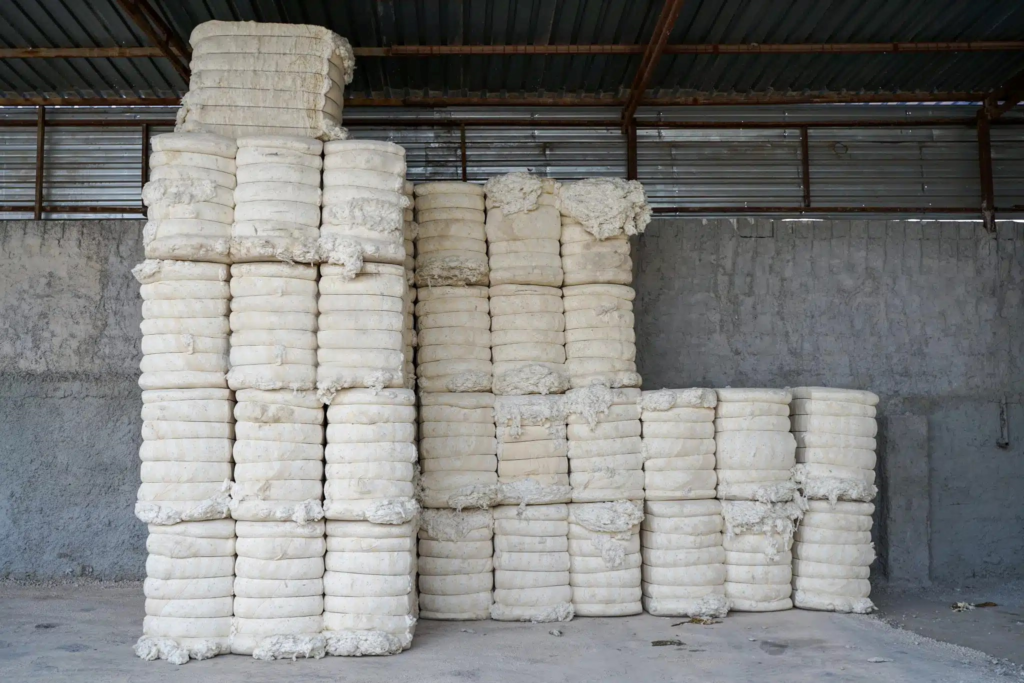 Better Cotton Revolutionises Cotton Sector with Traceability Solution ...